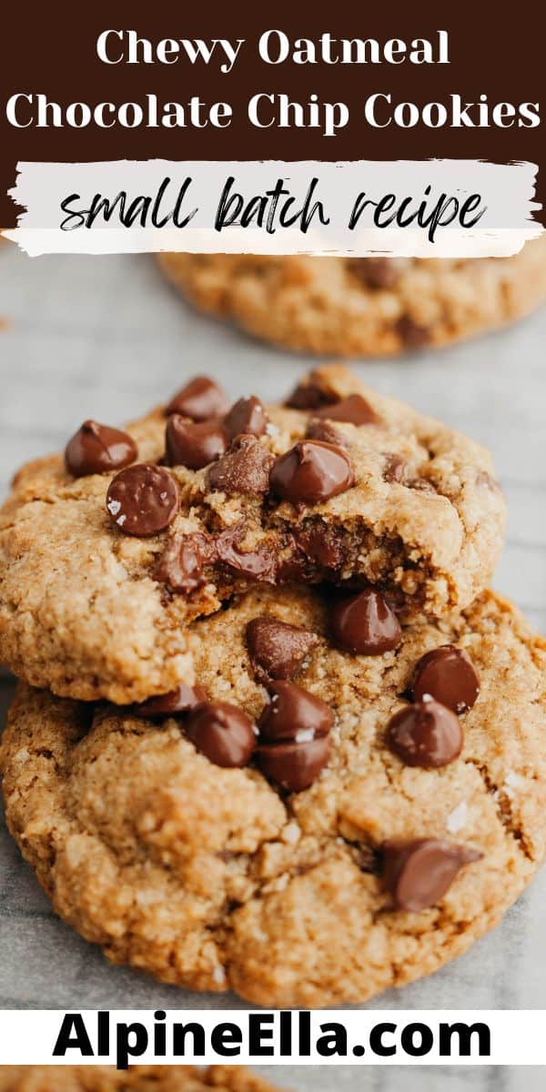 Small Batch Oatmeal Chocolate Chip Cookies - Alpine Ella