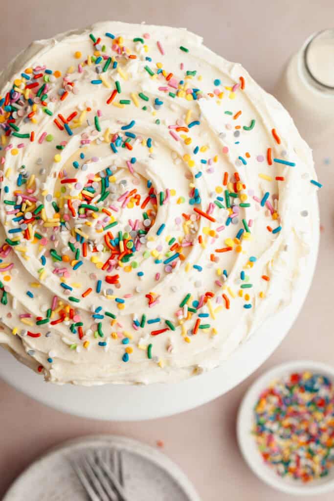 Easy & Simple Chocolate Cake with Vanilla Frosting - Alpine Ella