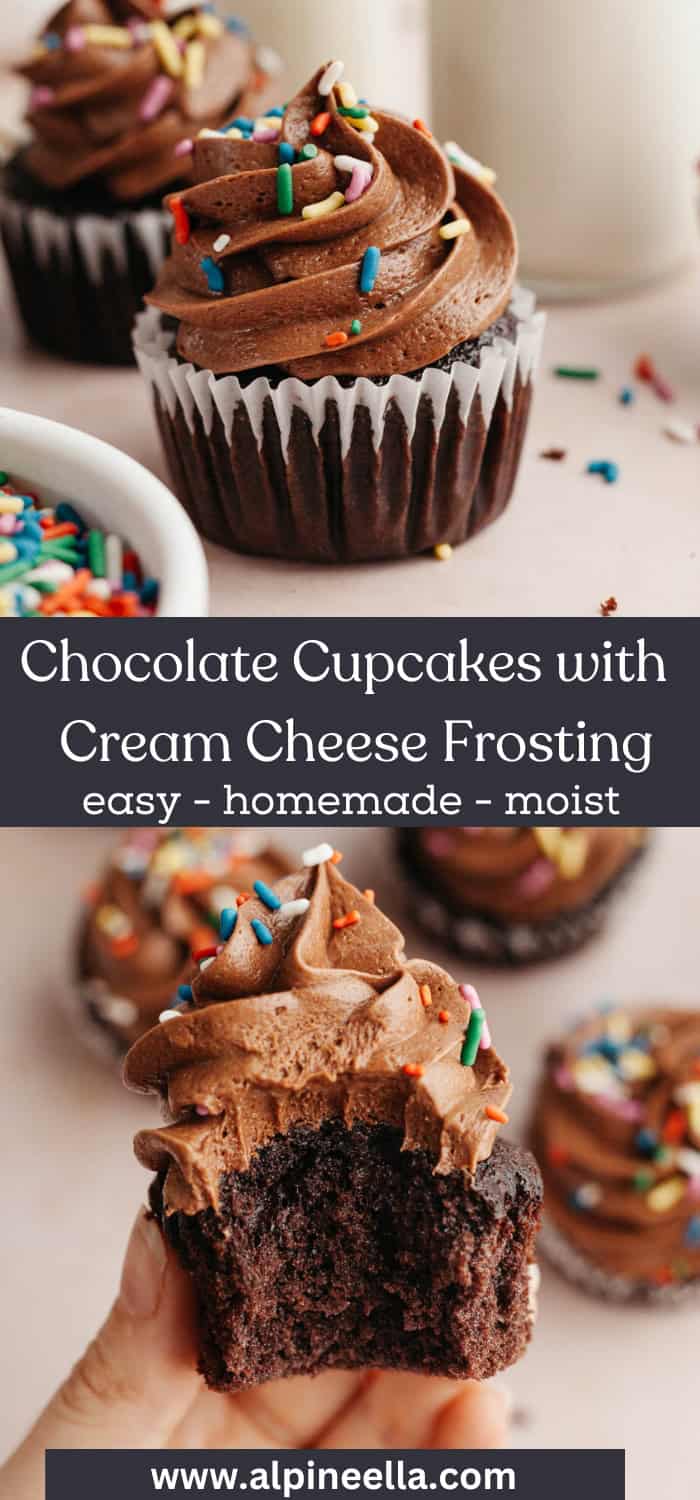 Chocolate Cupcakes with Chocolate Cream Cheese Frosting - Alpine Ella