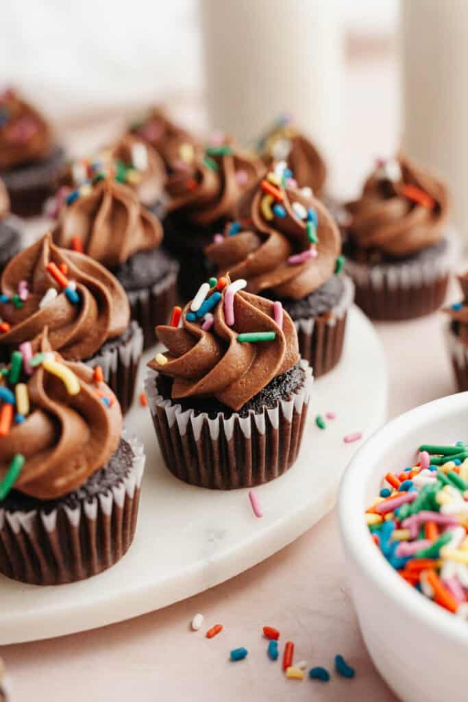 The Best Mini Chocolate Cupcakes (Easy & Moist) - Alpine Ella