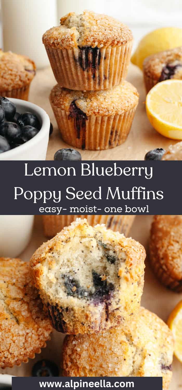 Easy Blueberry Lemon Poppy Seed Muffins (One Bowl Recipe) - Alpine Ella