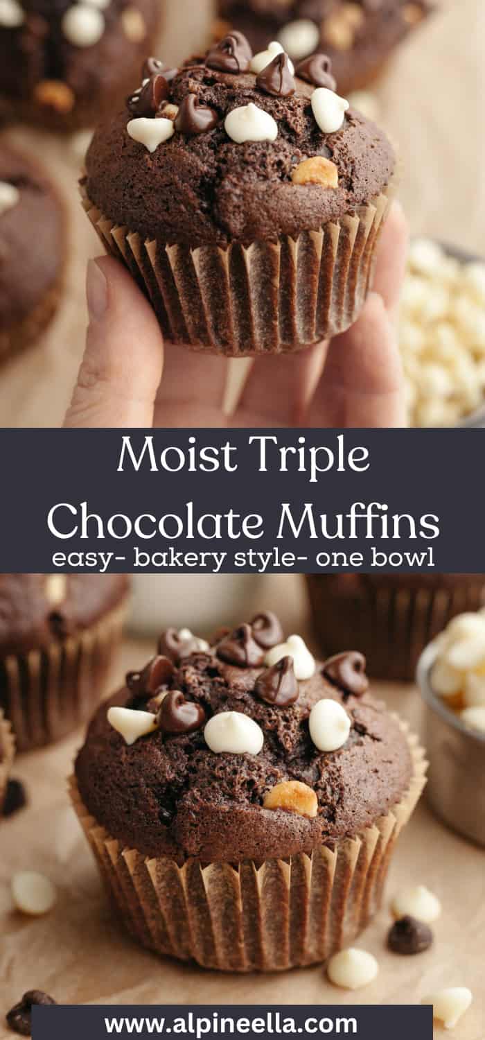 The Best Triple Chocolate Muffins (One Bowl Recipe) - Alpine Ella