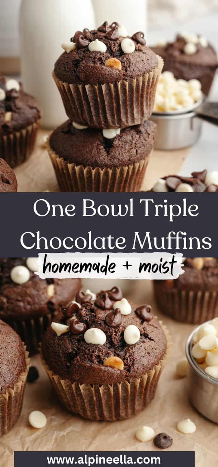 The Best Triple Chocolate Muffins (One Bowl Recipe) - Alpine Ella
