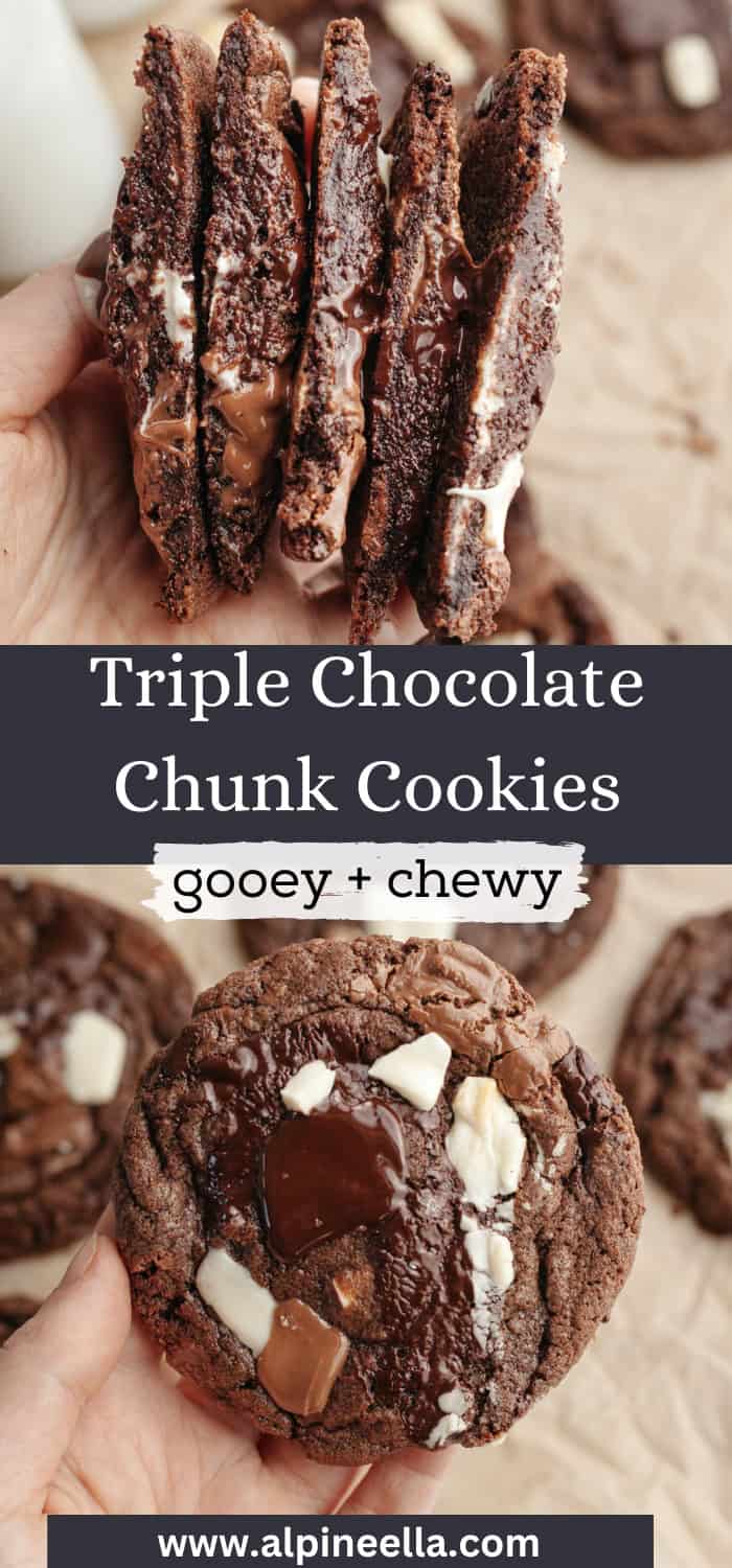 Chewy Triple Chocolate Chunk Cookies (One Bowl Recipe) - Alpine Ella