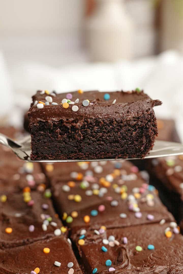One Layer Chocolate Cake (Sheet Cake) - Alpine Ella