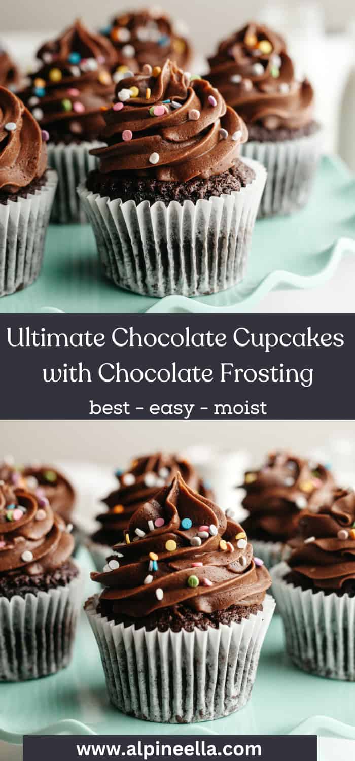 Easy Chocolate Cupcakes with Chocolate Frosting - Alpine Ella